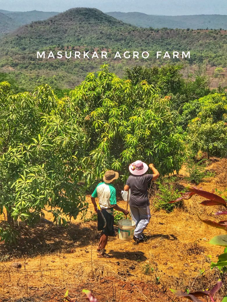 About – Masurkar Agro Farms